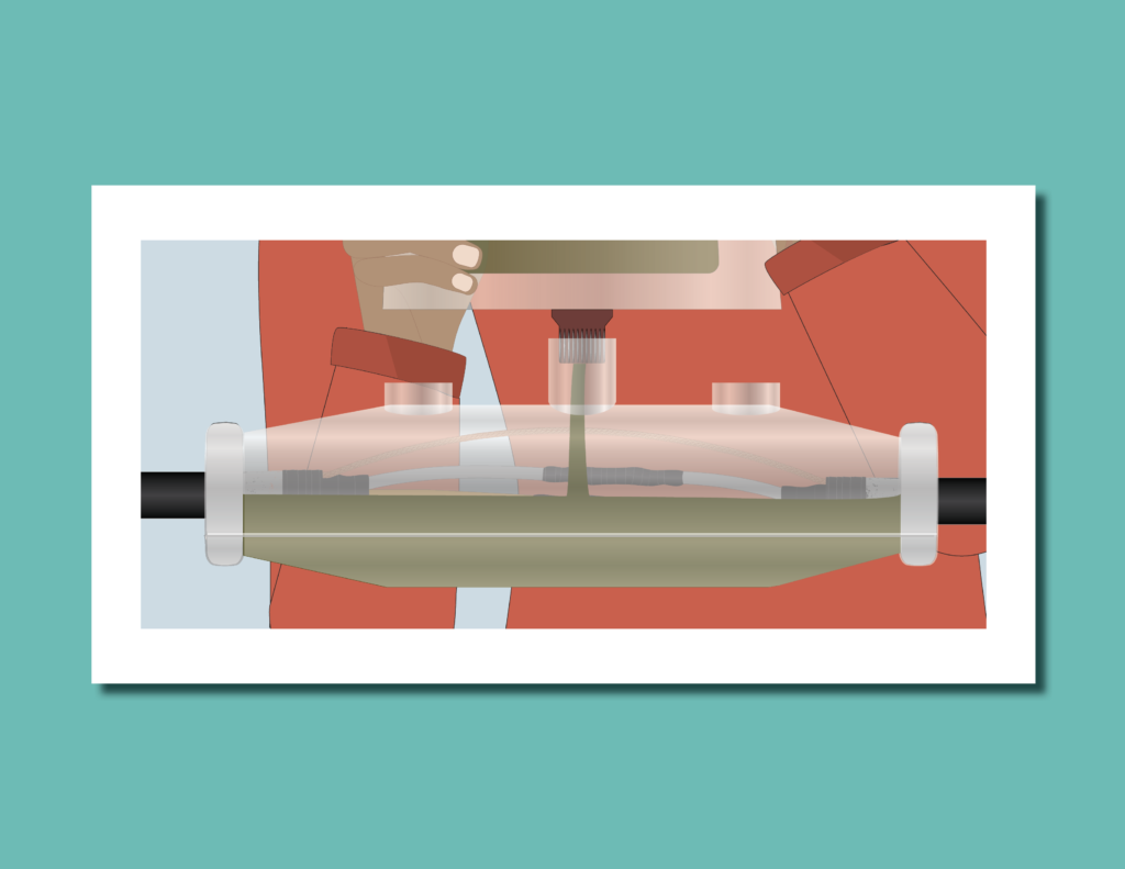 Electrical Trade Theory N2 - Lanie Media & Design